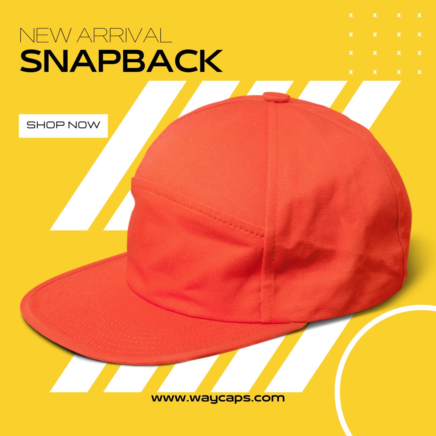 Waycap INC